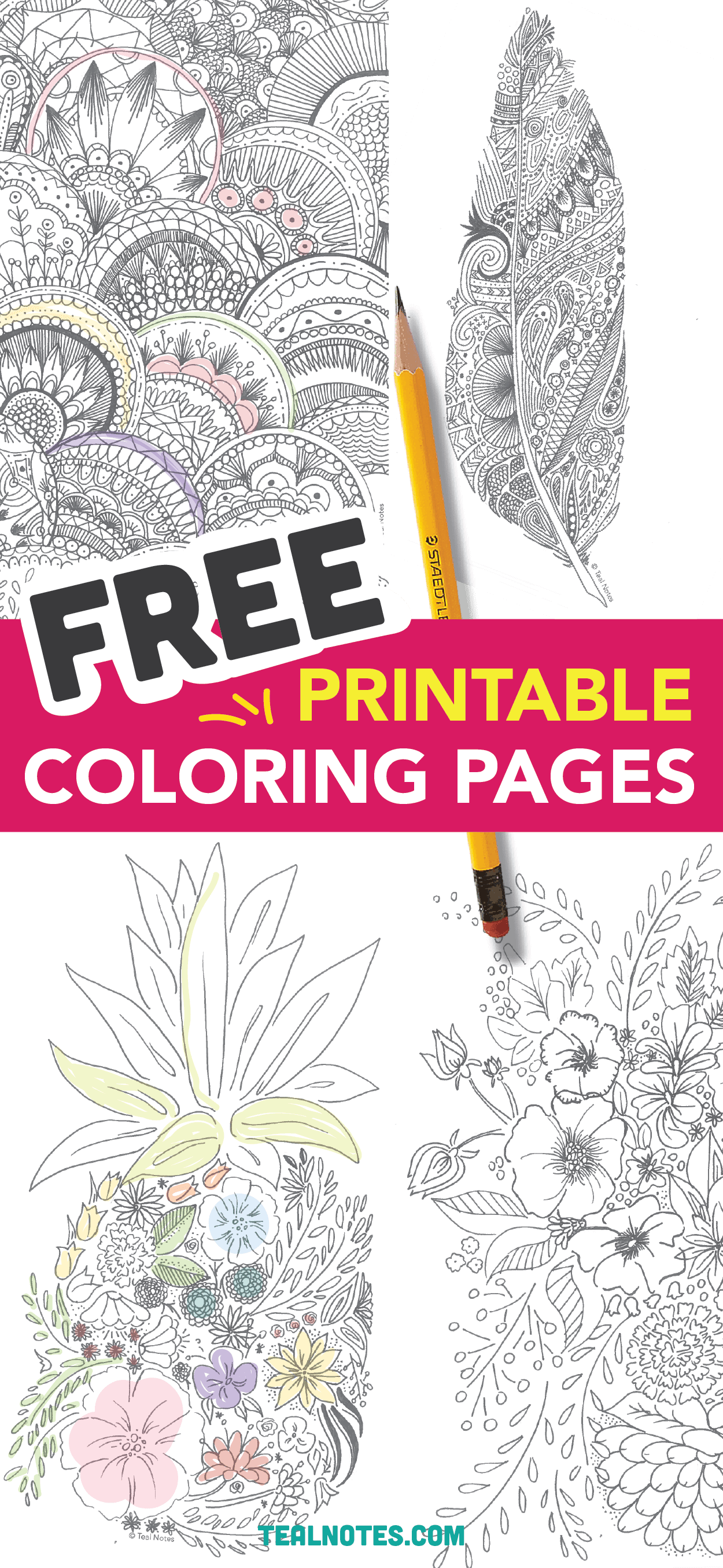 Free Printable Coloring Pages: 10 NEW Printable Coloring To Color And Relax