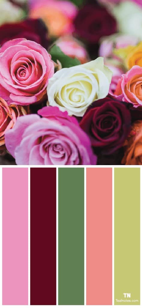 21 Color Palette Ideas For Your Next Home Project
