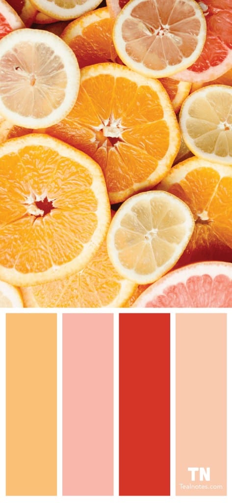 21 Color Palette Ideas For Your Next Home Project