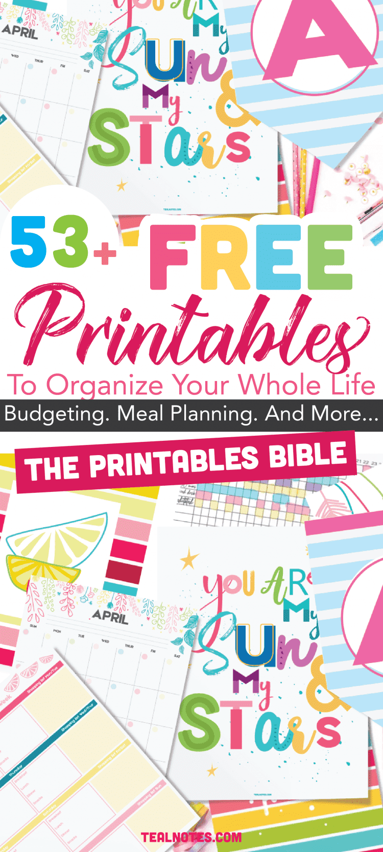 53+ Of The Most Beautiful FREE Printables To Organize Your Whole Life ...