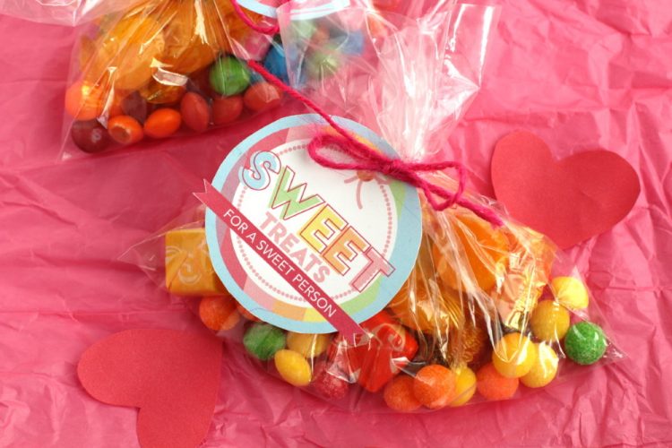 DIY Candy Gift Bags With Free Printable Tags
