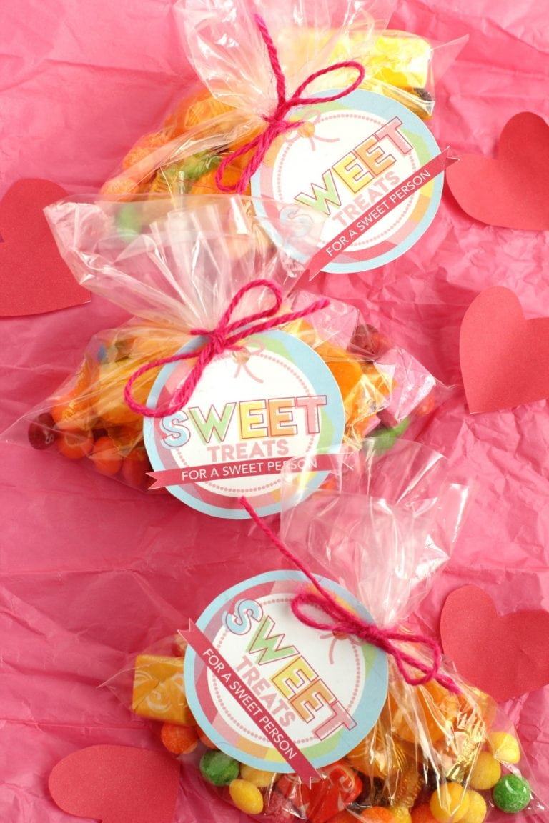 DIY Candy Gift Bags With Free Printable Tags