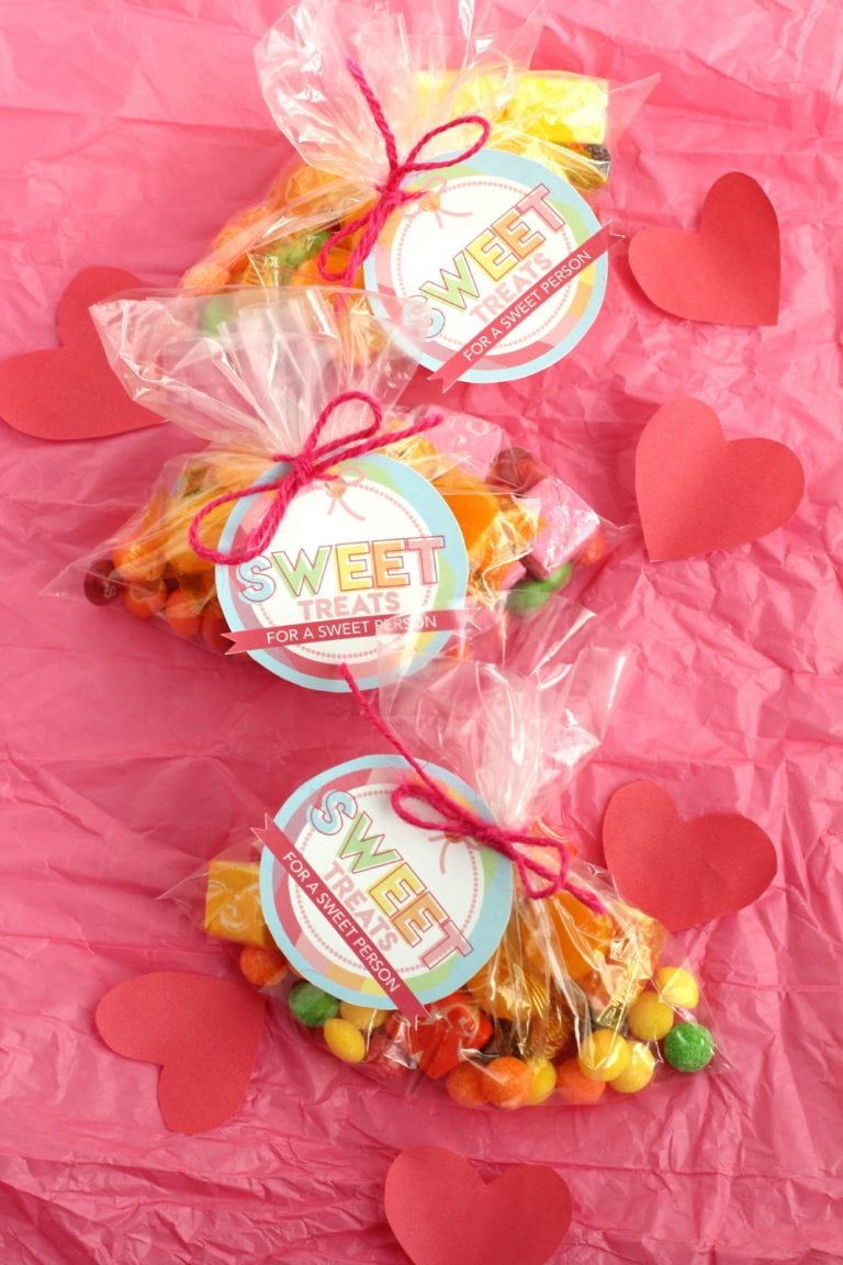 DIY Candy Gift Bags With Free Printable Tags