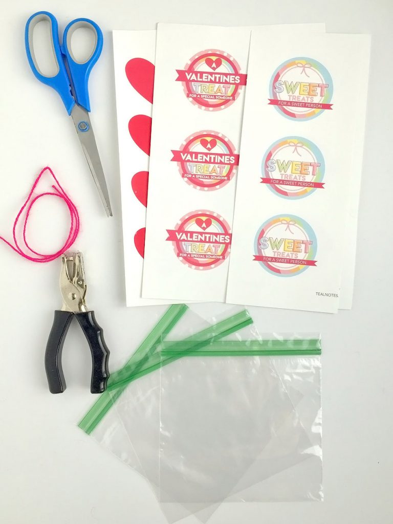 DIY Candy Gift Bags With Free Printable Tags