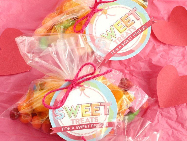 DIY Candy Gift Bags With Free Printable Tags