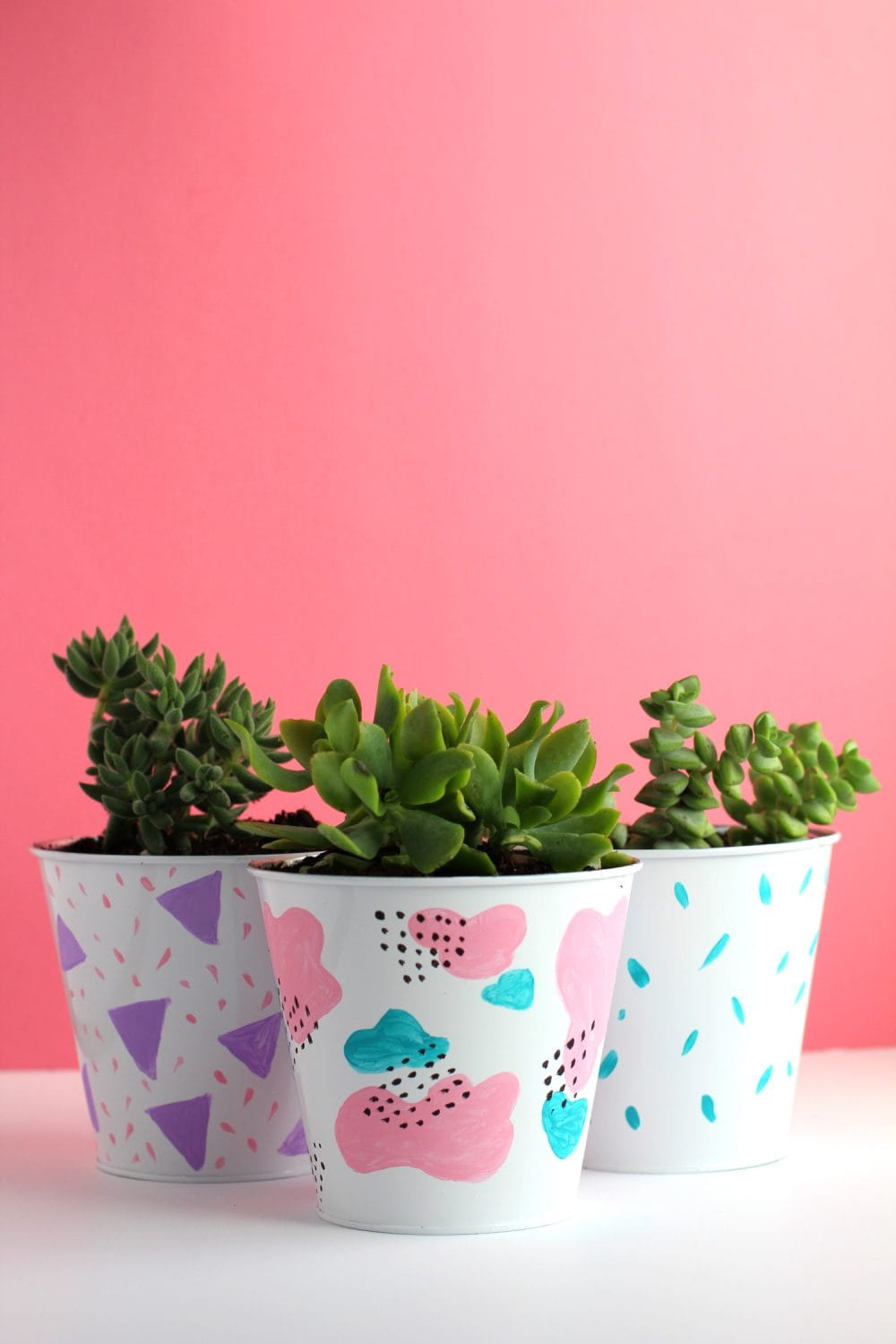DIY Fun Succulent Planters With Dollar Store Supplies