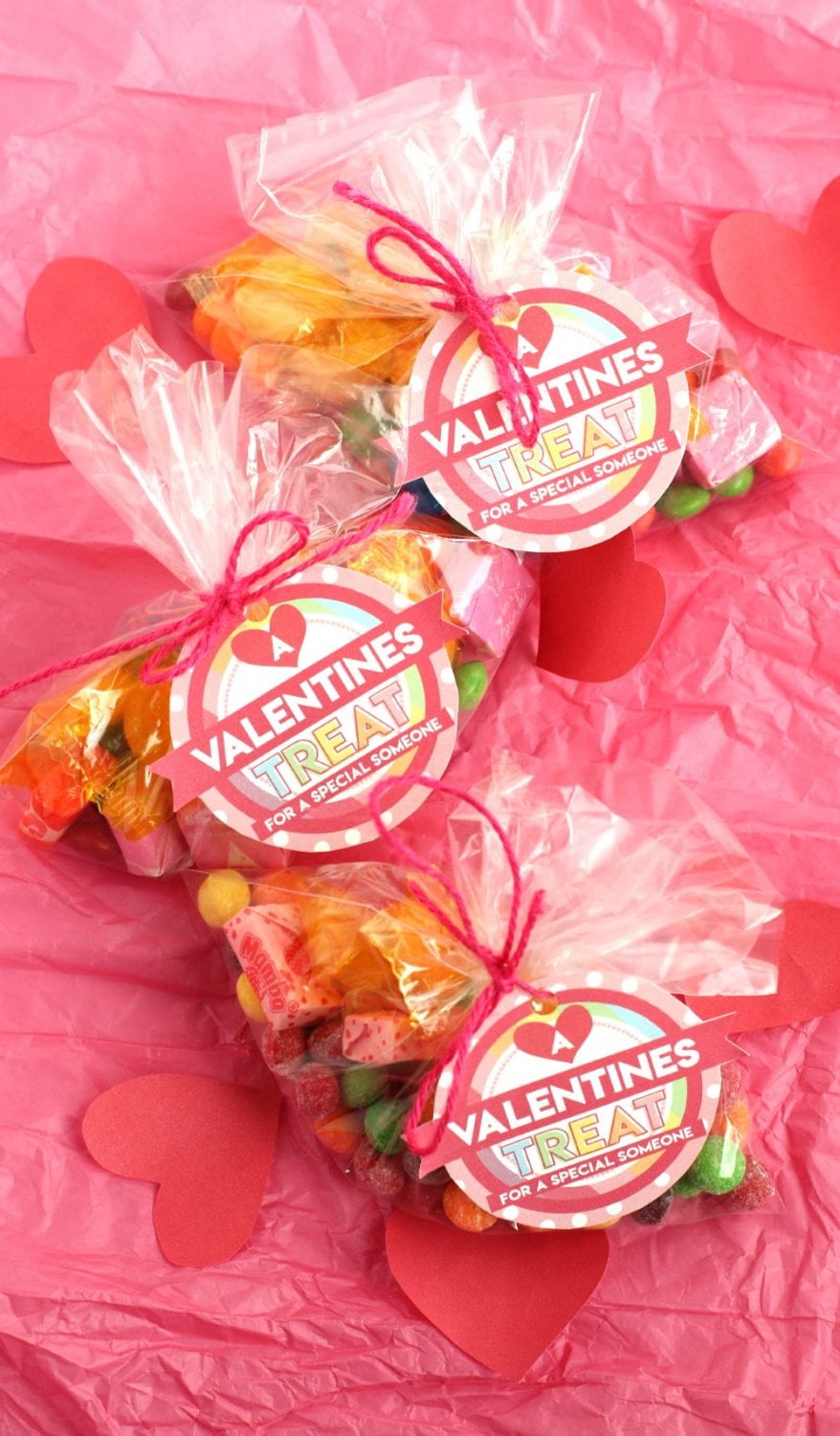 DIY Valentine's Gift Idea With Free Printable Tags