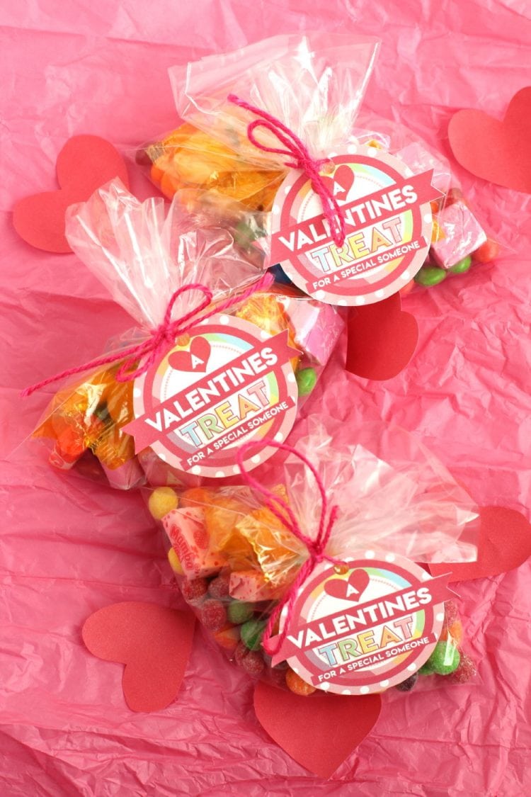 DIY Valentine's Gift Idea With Free Printable Tags