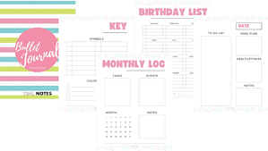 Bullet Journal for Health (Start To Accomplish Maintaining Your Health ...