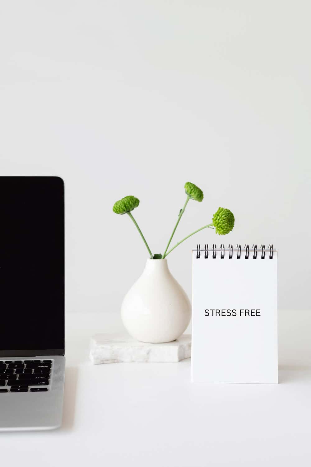A Bullet Journal For Anxiety (5 Techniques For Stress Management) A ...