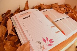 5 Bullet Journal Daily Page Ideas To Keep You Motivated And Organized