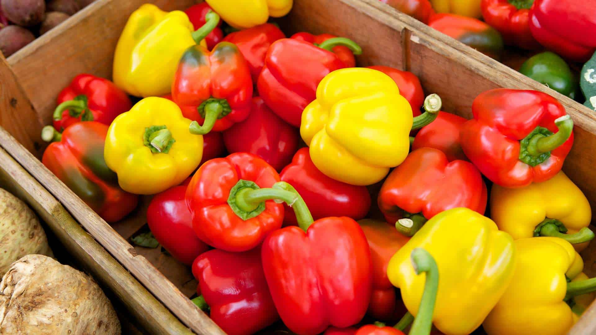 Mexican Stuffed Bell Peppers (A Fusion Of Taste And Tradition)